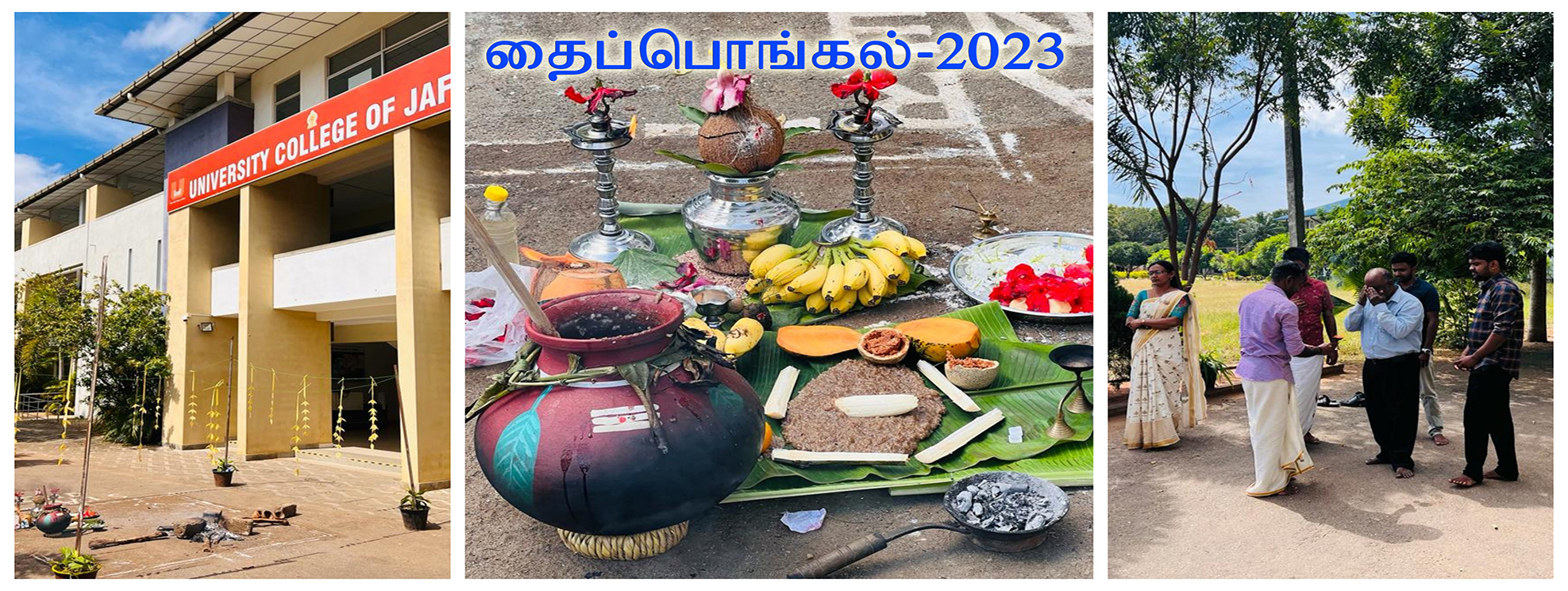 University College of Jaffna